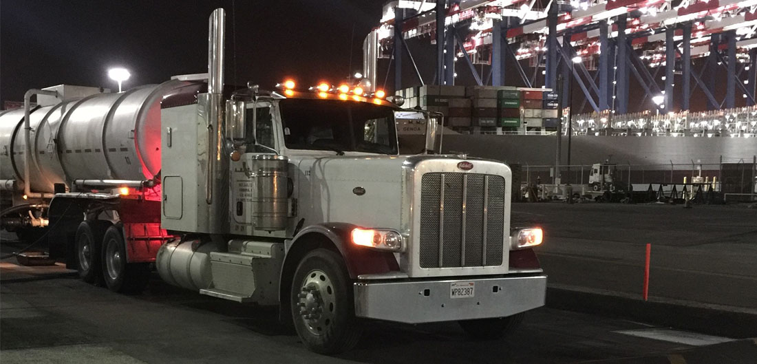 Alpha Petroleum Inc. II - Alpha Petroleum Inc